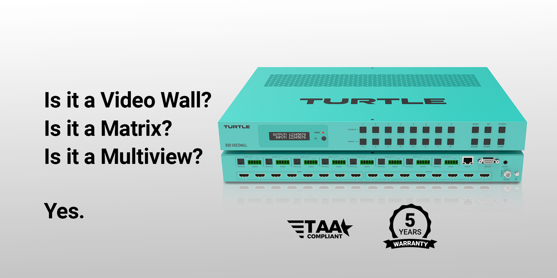 Turtle AV – We.Are.TURTLE