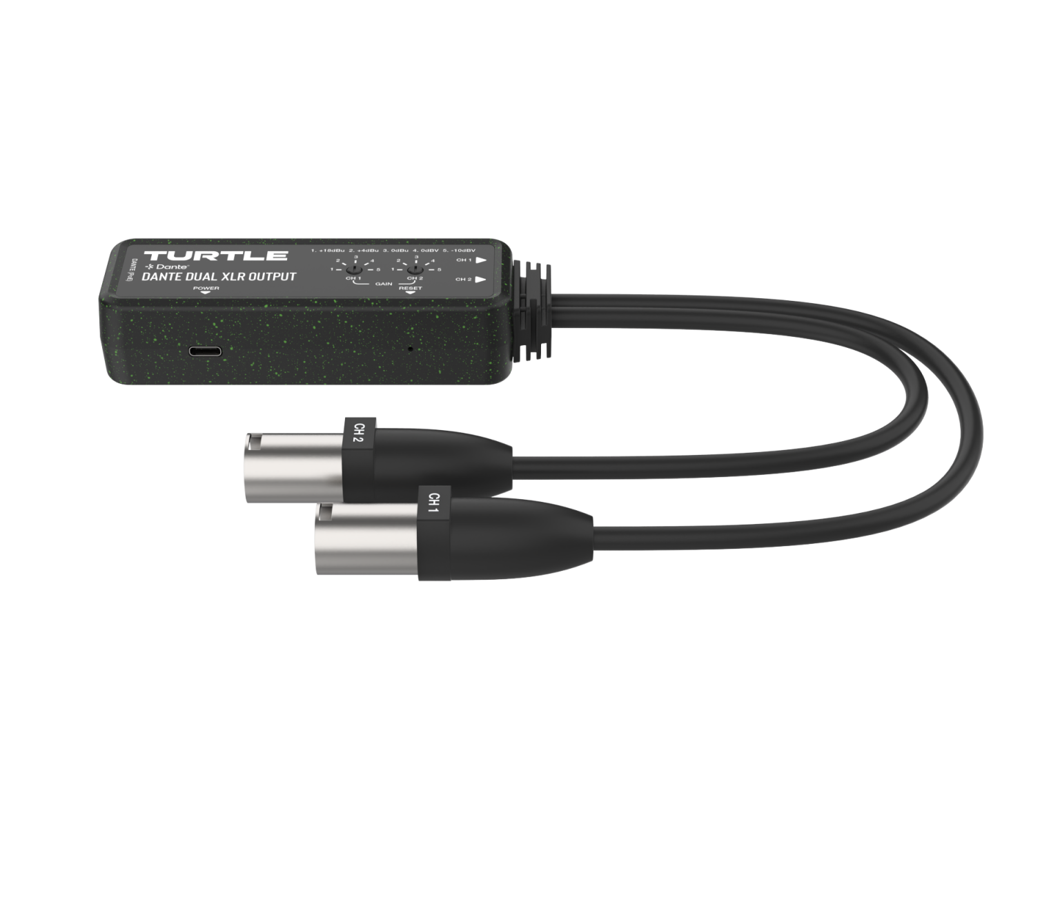 Dante 2CH Analog XLR Output Adapter – Turtle AV