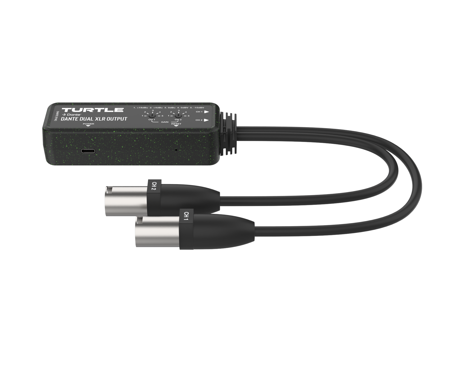 Dante 2CH Analog XLR Output Adapter – Turtle AV