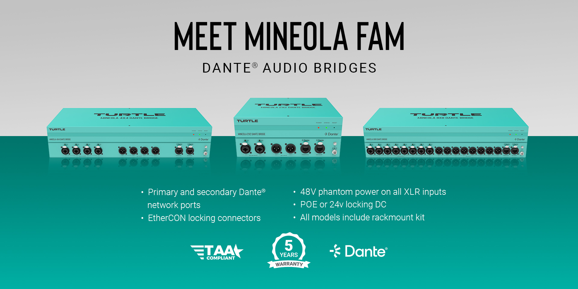 Turtle AV – We.Are.TURTLE